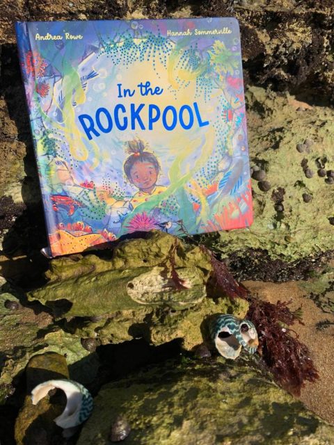 In the Rockpool cover reveal - Andrea Rowe